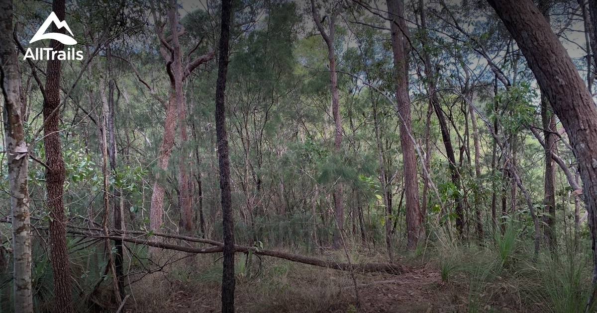 Best hikes and trails in Mount Peter | AllTrails