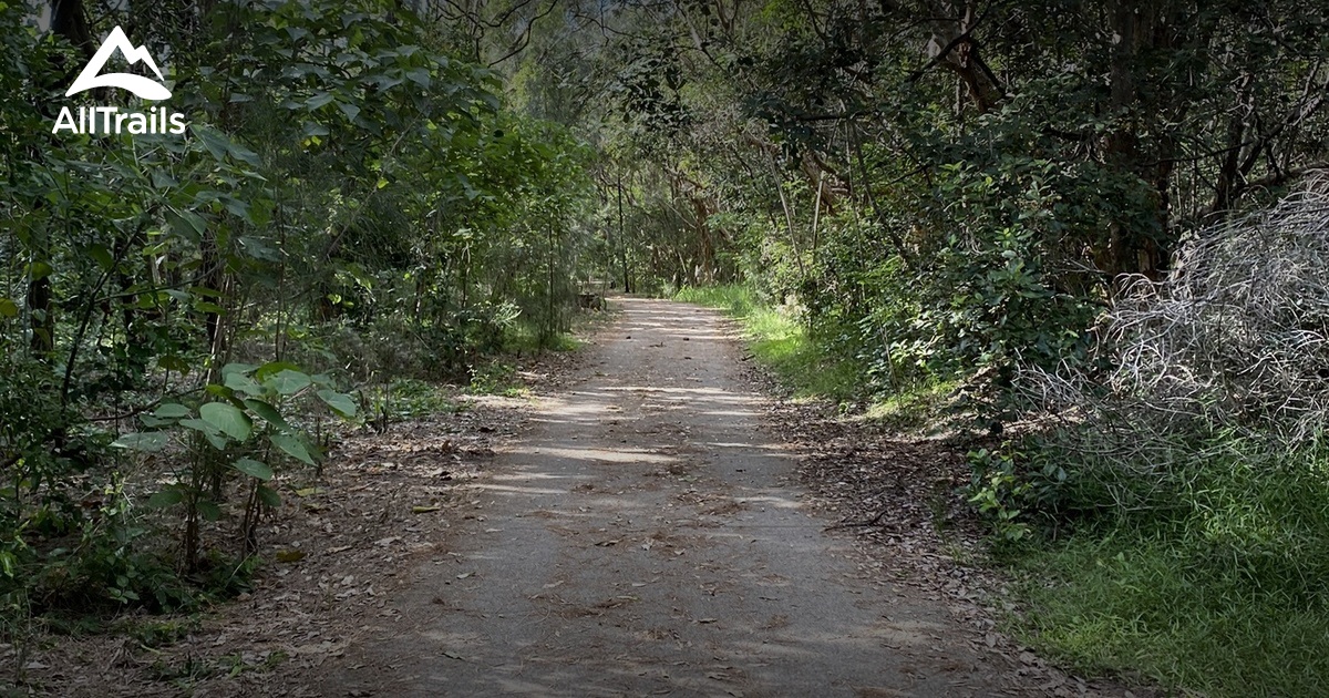 Best walking trails in Mudjimba | AllTrails