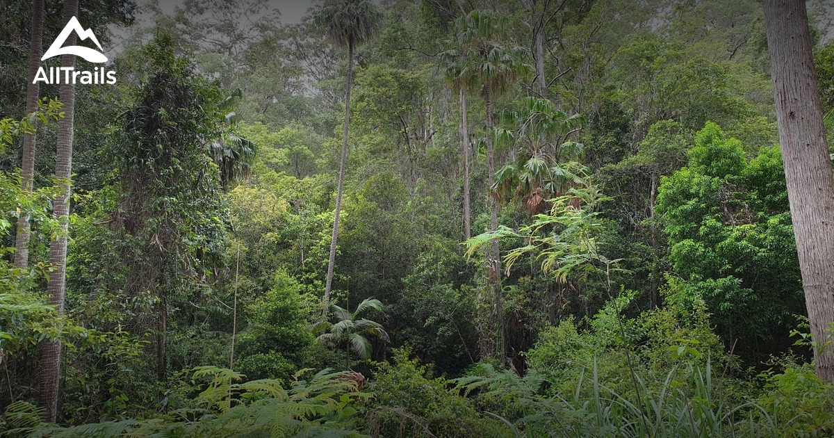 Best Trails, Walks, and Paths in Nambour | AllTrails
