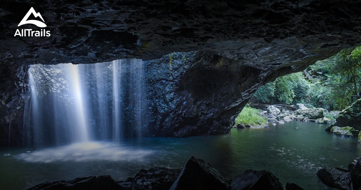 Best forest trails in Natural Bridge | AllTrails