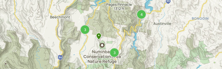 Best Hikes and Trails in Numinbah Valley | AllTrails