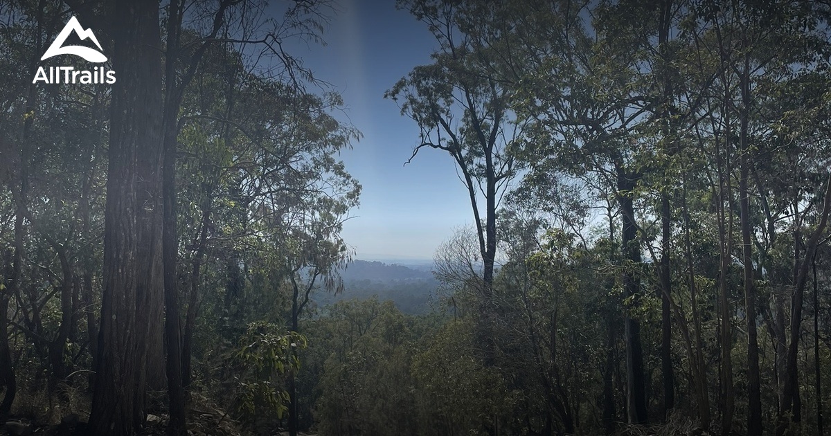 Best hikes and trails in Ormeau Hills | AllTrails