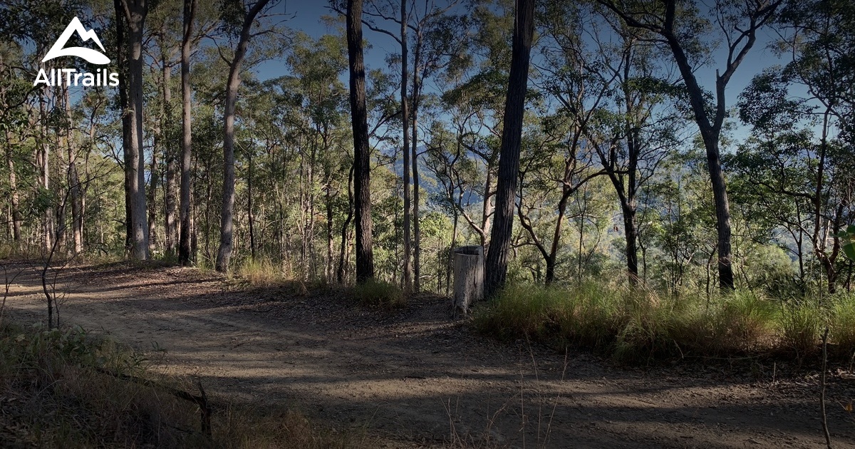 Best hikes and trails in Pacific Pines | AllTrails
