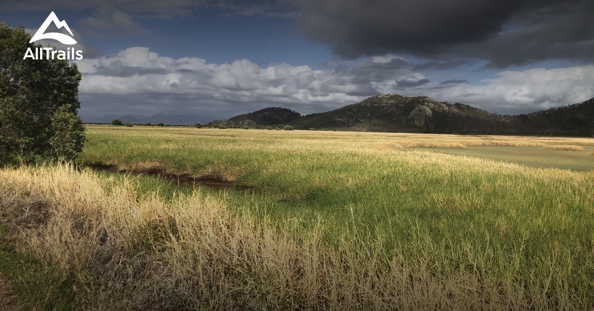 Best hikes and trails in Pallarenda | AllTrails