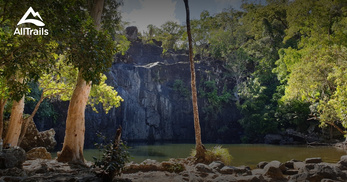 Best hikes and trails in Palm Grove | AllTrails