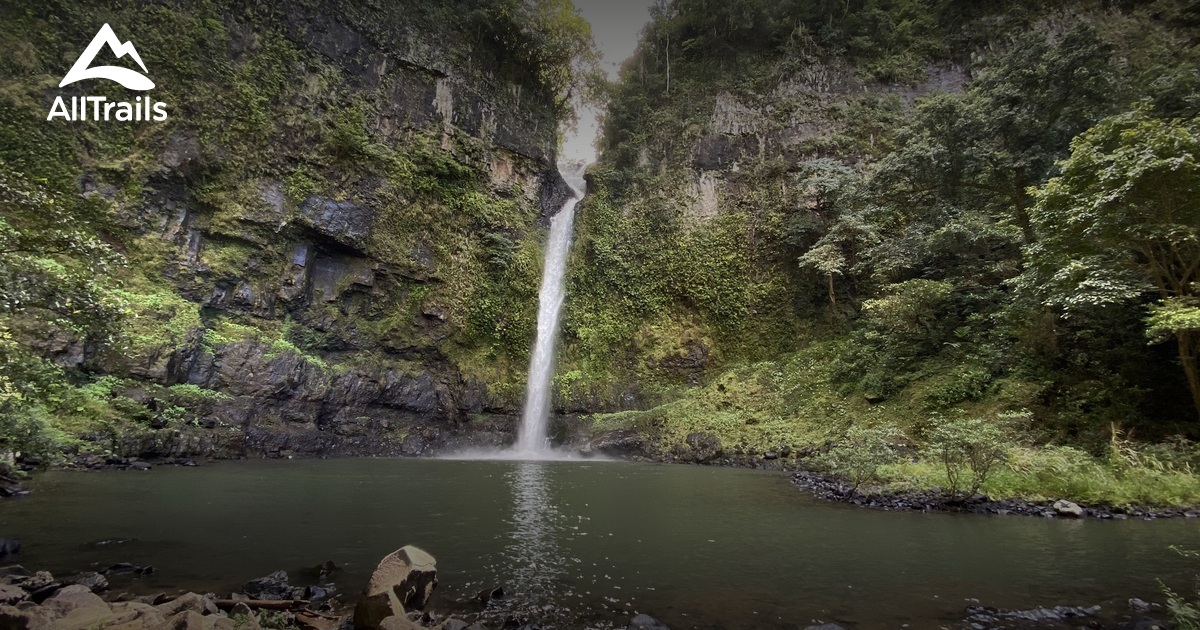 Best forest trails in Palmerston | AllTrails