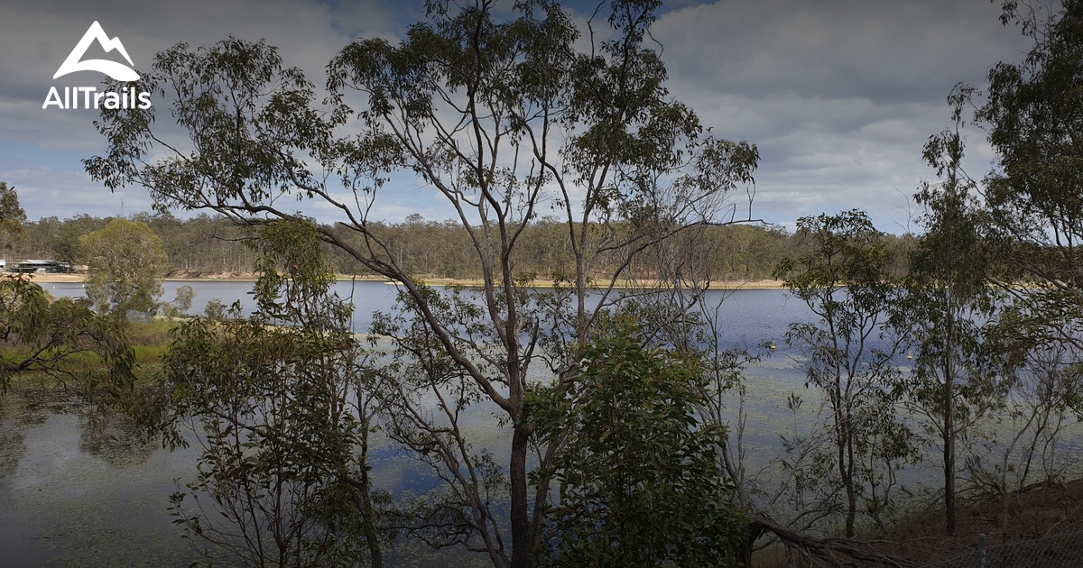Best hikes and trails in Petrie | AllTrails