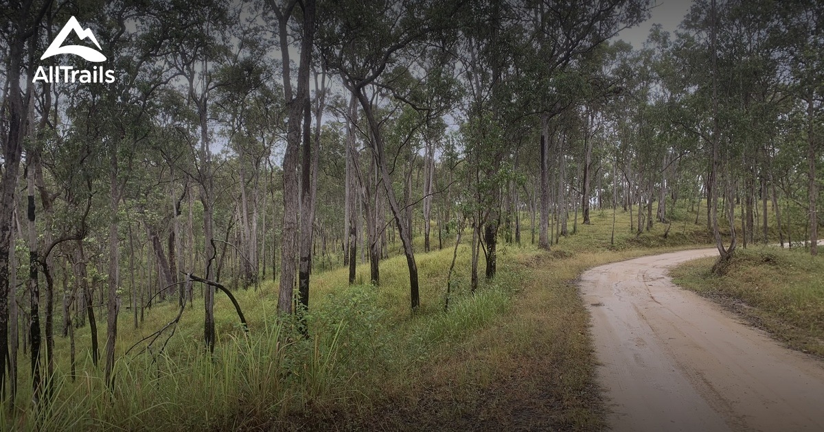 Best hikes and trails in Pinnacle | AllTrails