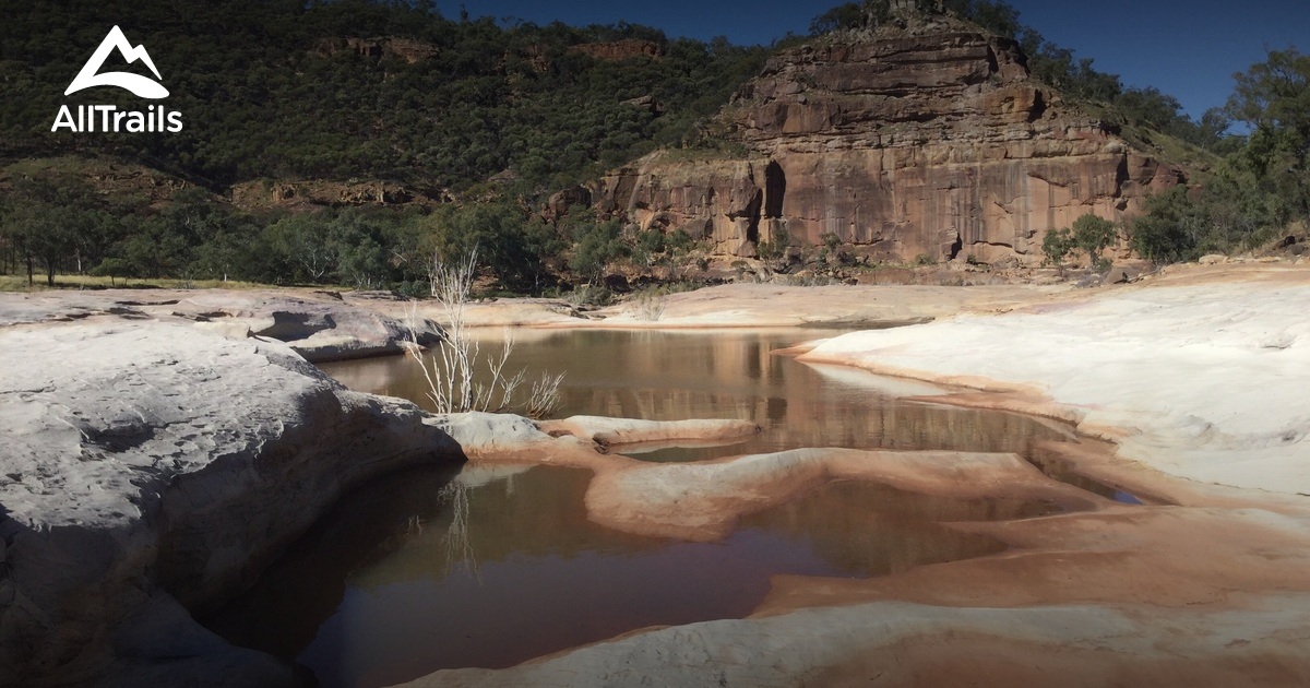 Best forest trails in Porcupine | AllTrails