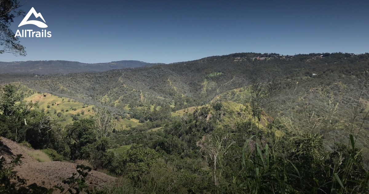 Best forest trails in Rangeville | AllTrails