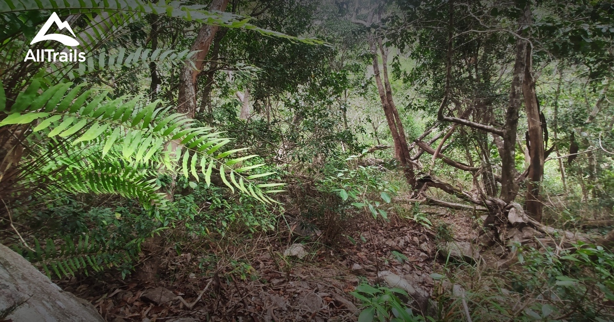 Best waterfall trails in Rollingstone | AllTrails