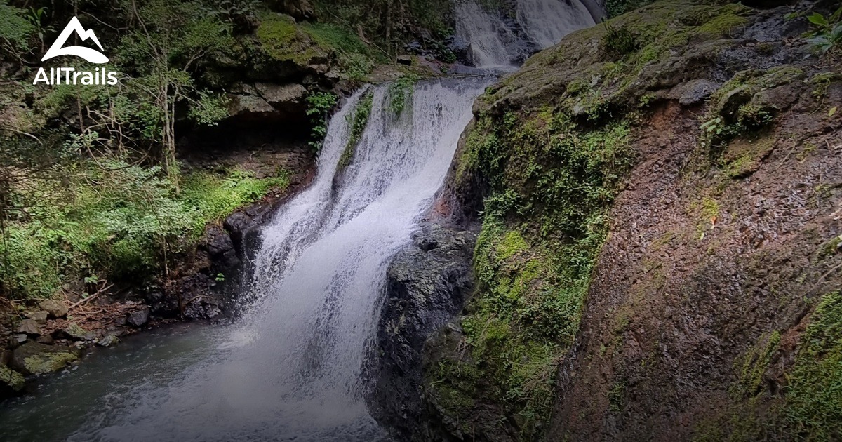 Best hikes and trails in Running Creek | AllTrails