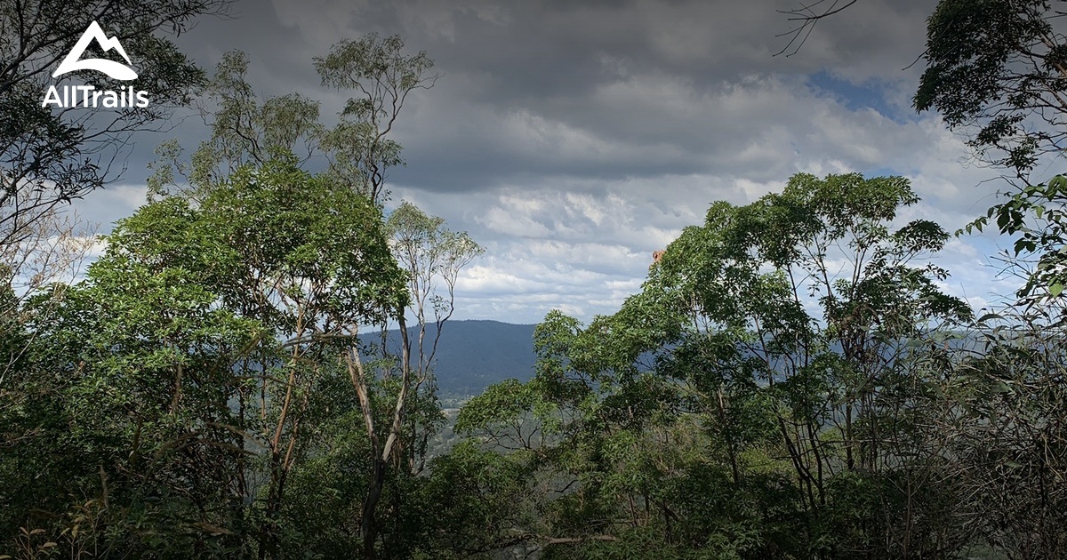 Best hikes and trails in Samford Valley | AllTrails
