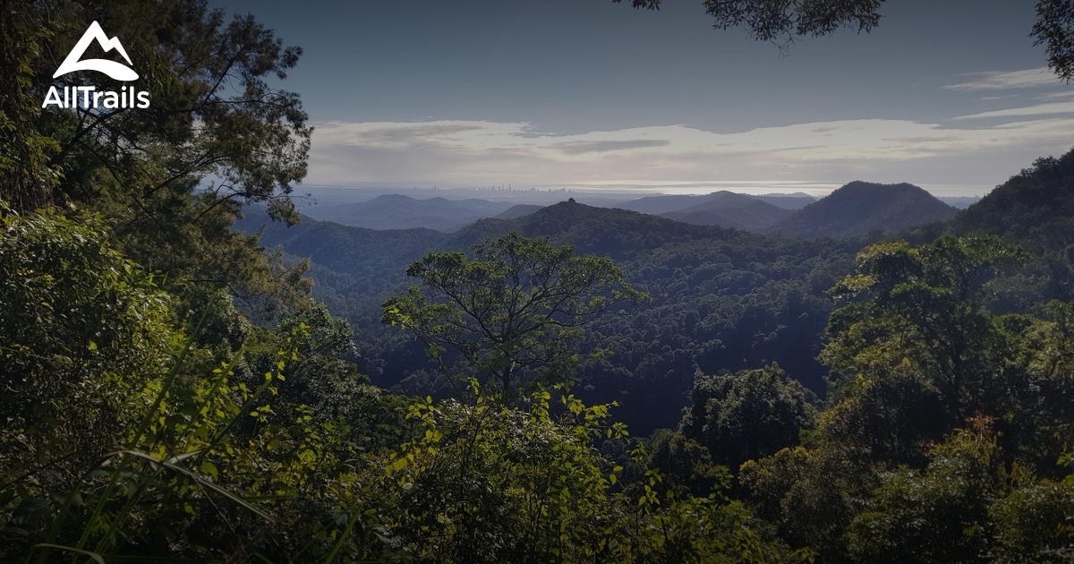10 Best trails and hikes in Springbrook | AllTrails