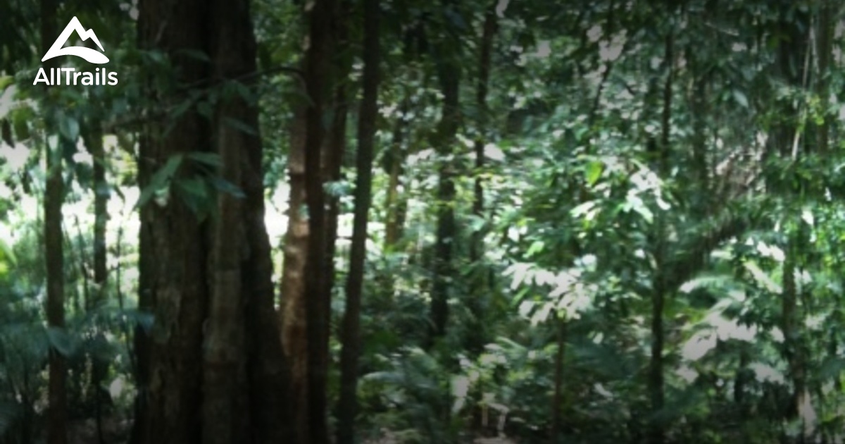 Best hikes and trails in Syndicate | AllTrails