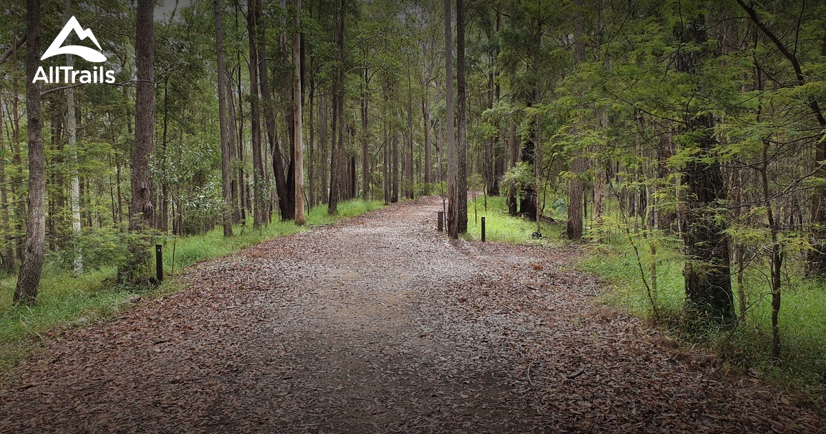 Best Trails, Walks, and Paths in Tanawha | AllTrails