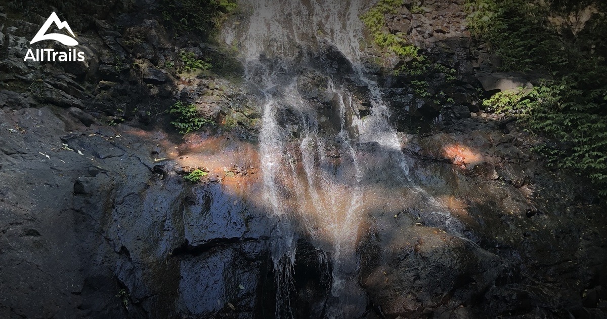 Best hikes and trails in Tarome | AllTrails