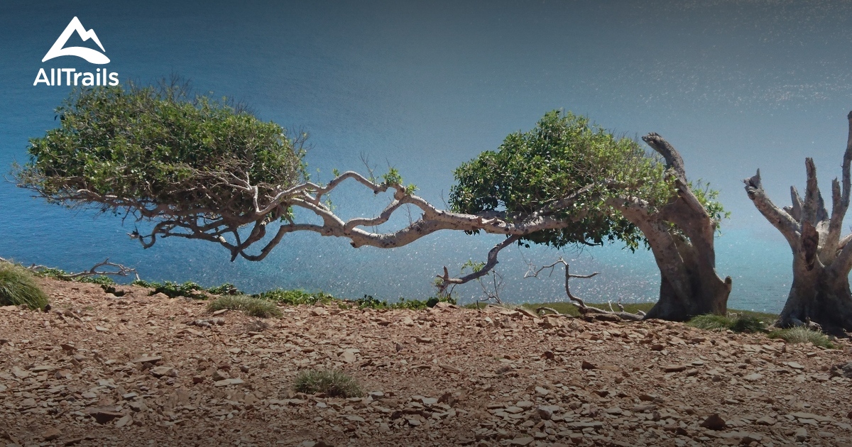 10 Best trails and hikes in The Keppels | AllTrails