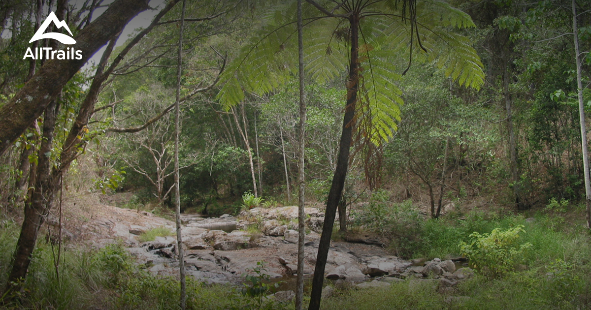 Best hikes and trails in Tinaroo | AllTrails