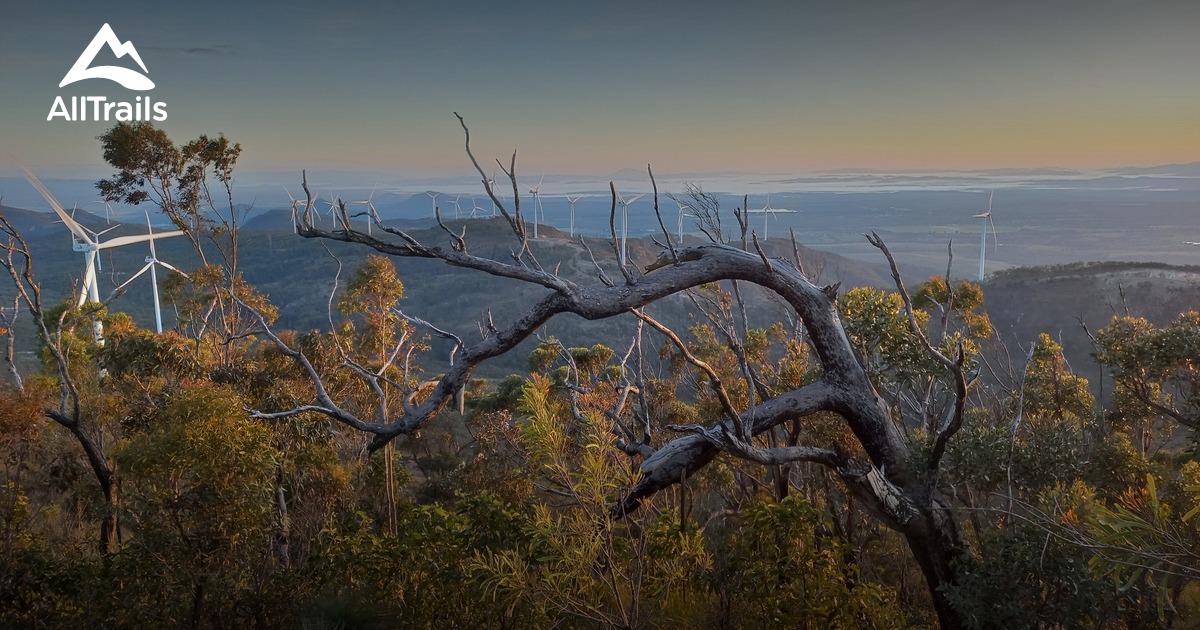 Best hikes and trails in Tolga | AllTrails