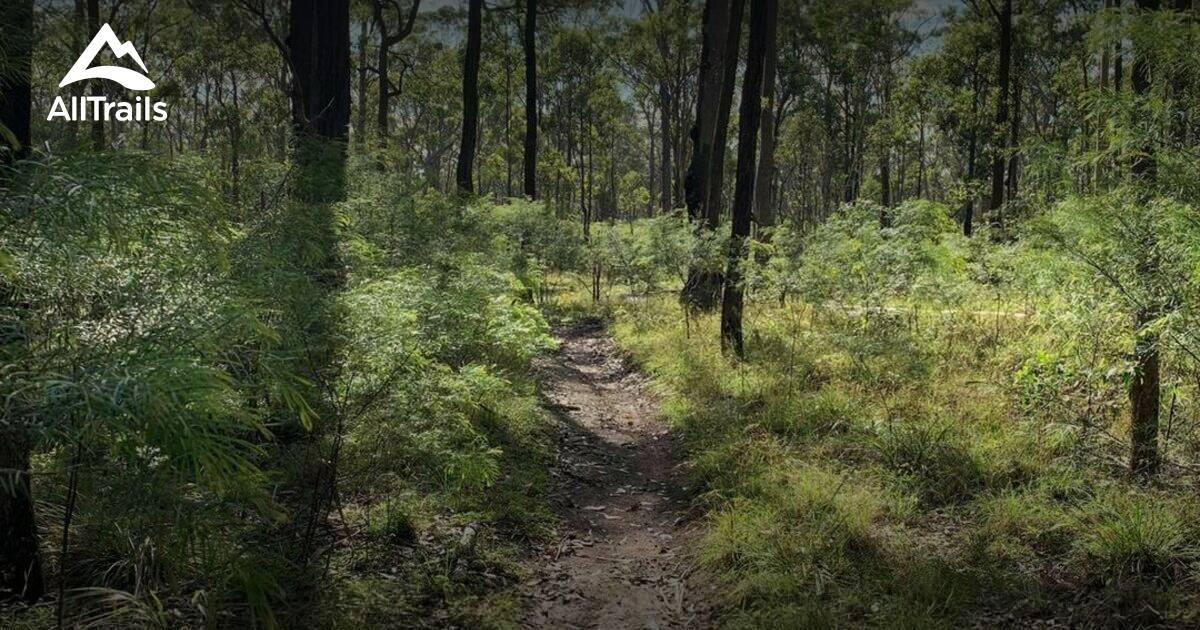 Best hikes and trails in Toogoom | AllTrails