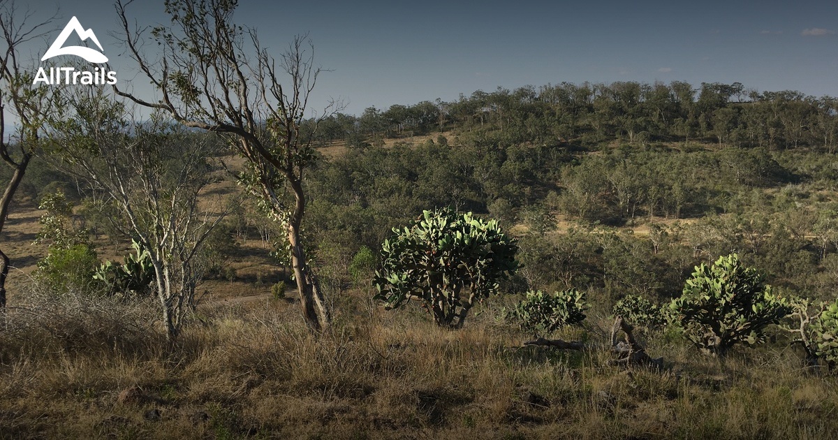 Best river trails in Toowoomba | AllTrails