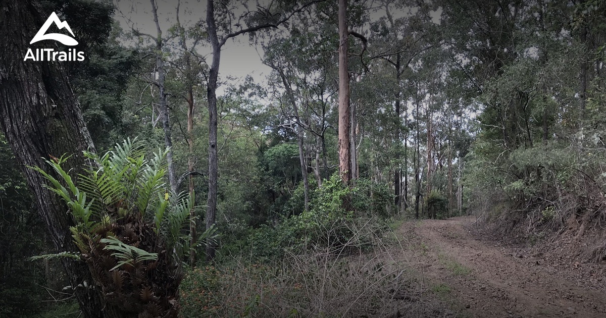 Best Trails near Upper Kedron, Queensland Australia | AllTrails