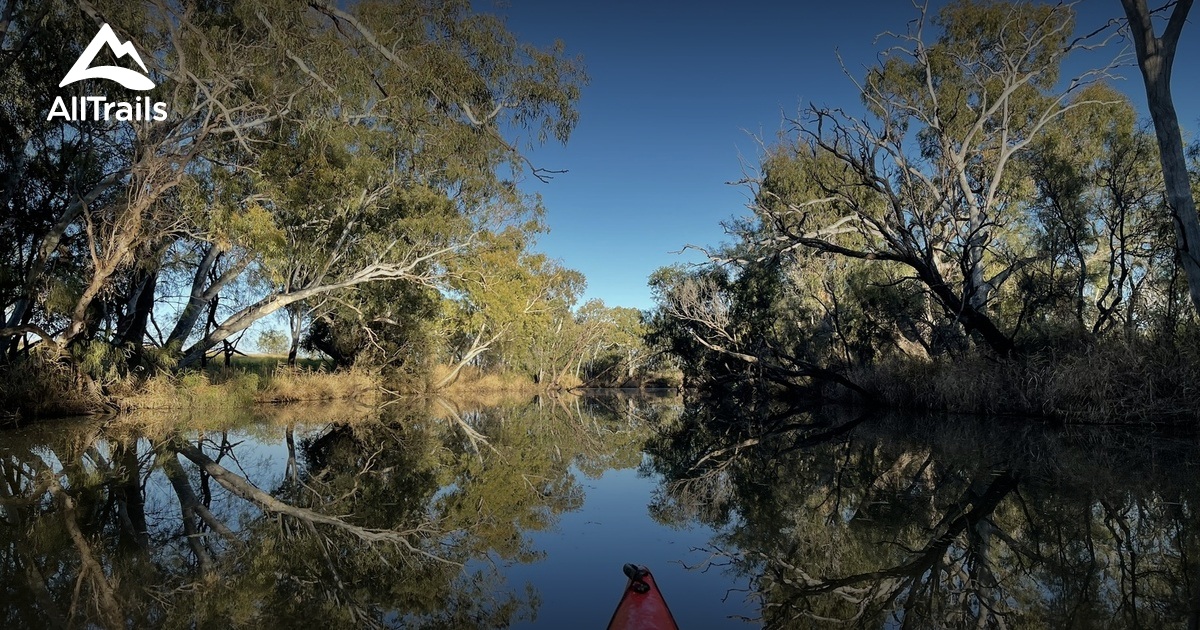 Best hikes and trails in Wainui | AllTrails