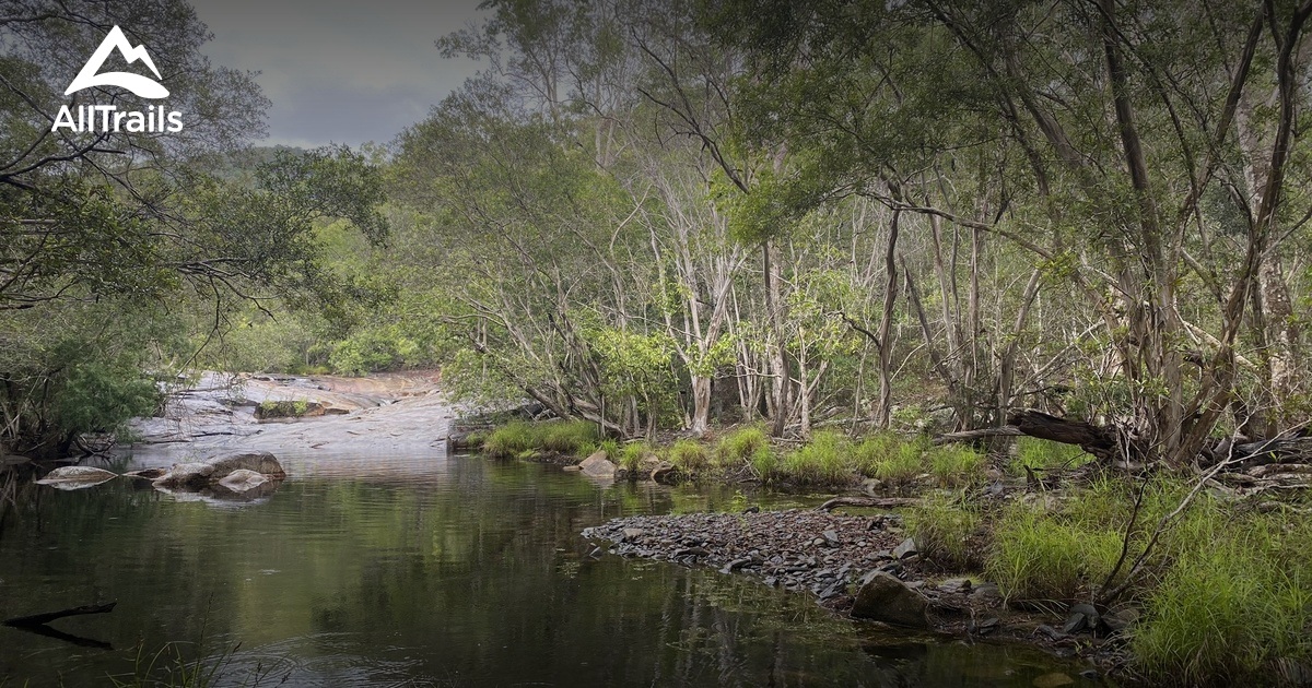 Best hikes and trails in Wangetti | AllTrails