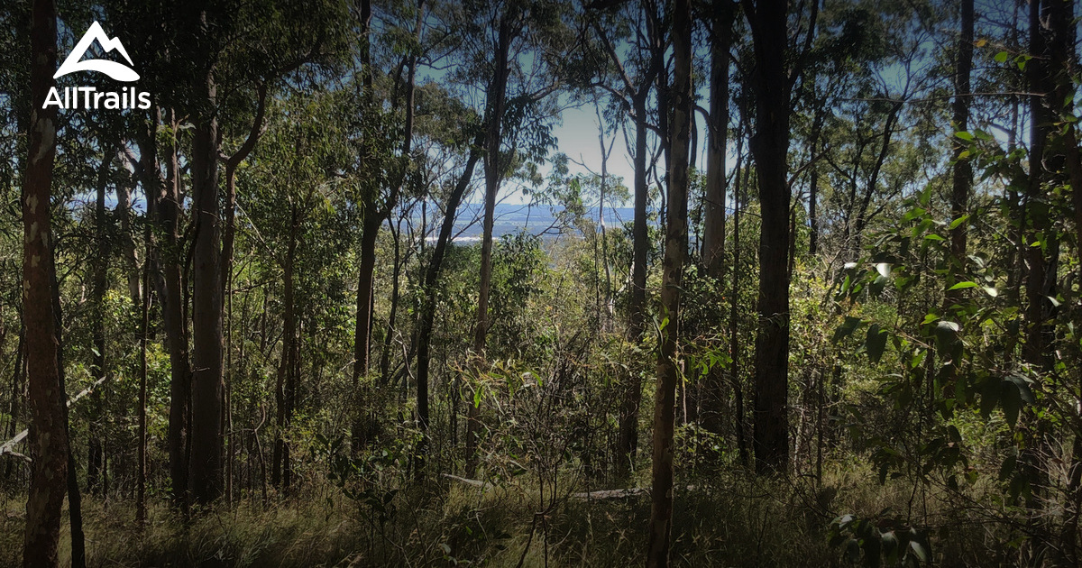 Best hikes and trails in Willow Vale | AllTrails