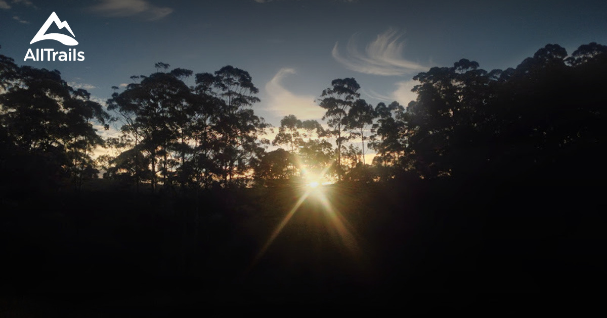 Best hikes and trails in Witta | AllTrails