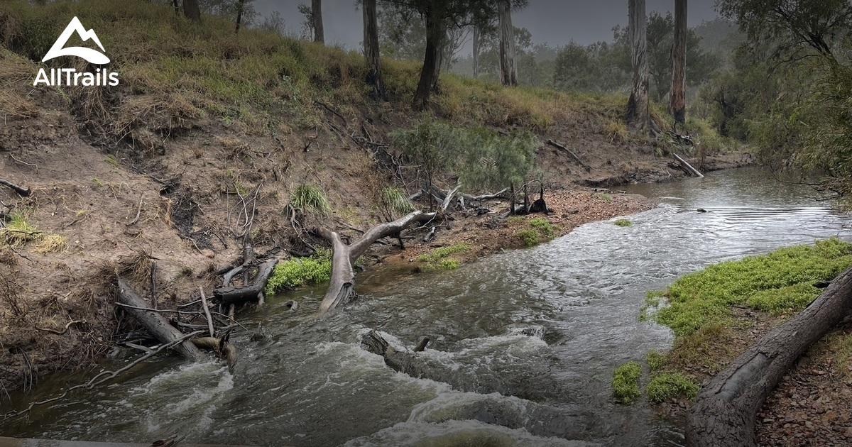 Best hikes and trails in Wondai | AllTrails