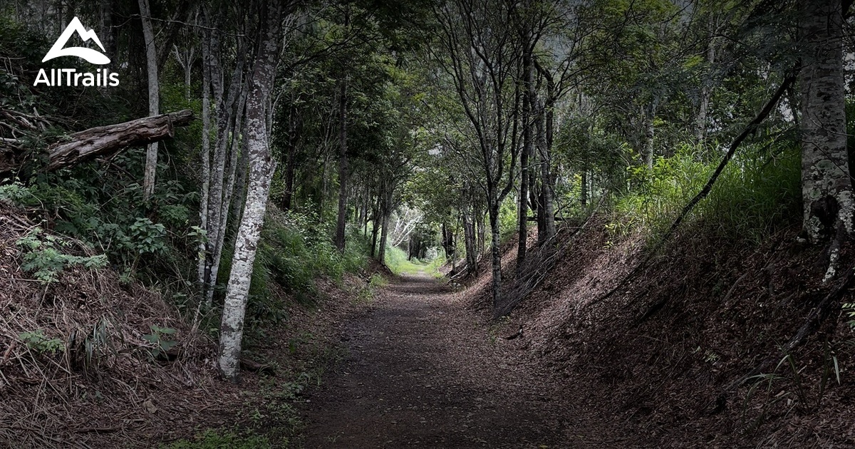 Best hikes and trails in Yugar | AllTrails