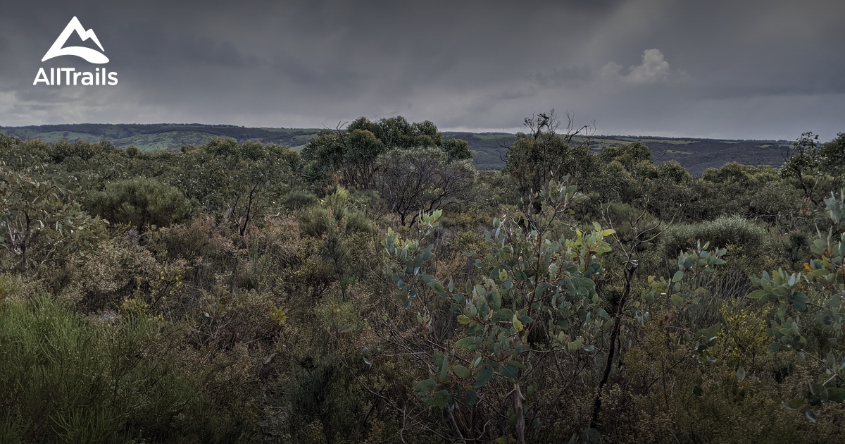 Best hikes and trails in Ashbourne | AllTrails