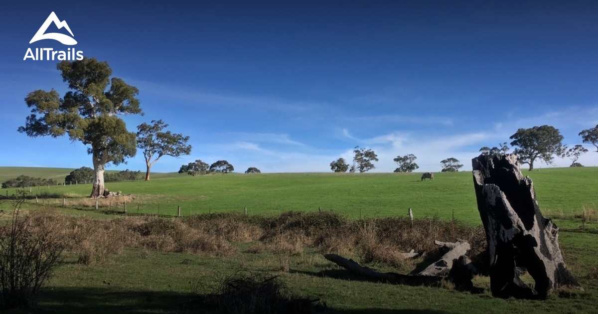 Best Trails, Walks, and Paths in Back Valley | AllTrails