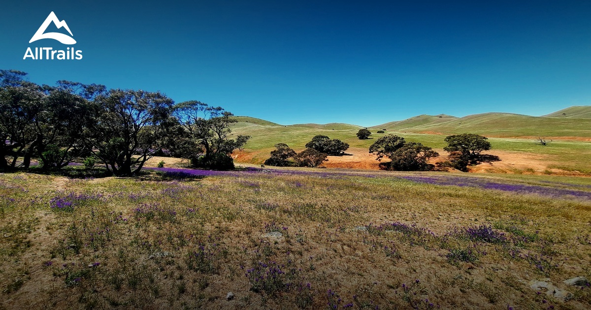Best hikes and trails in Burra | AllTrails