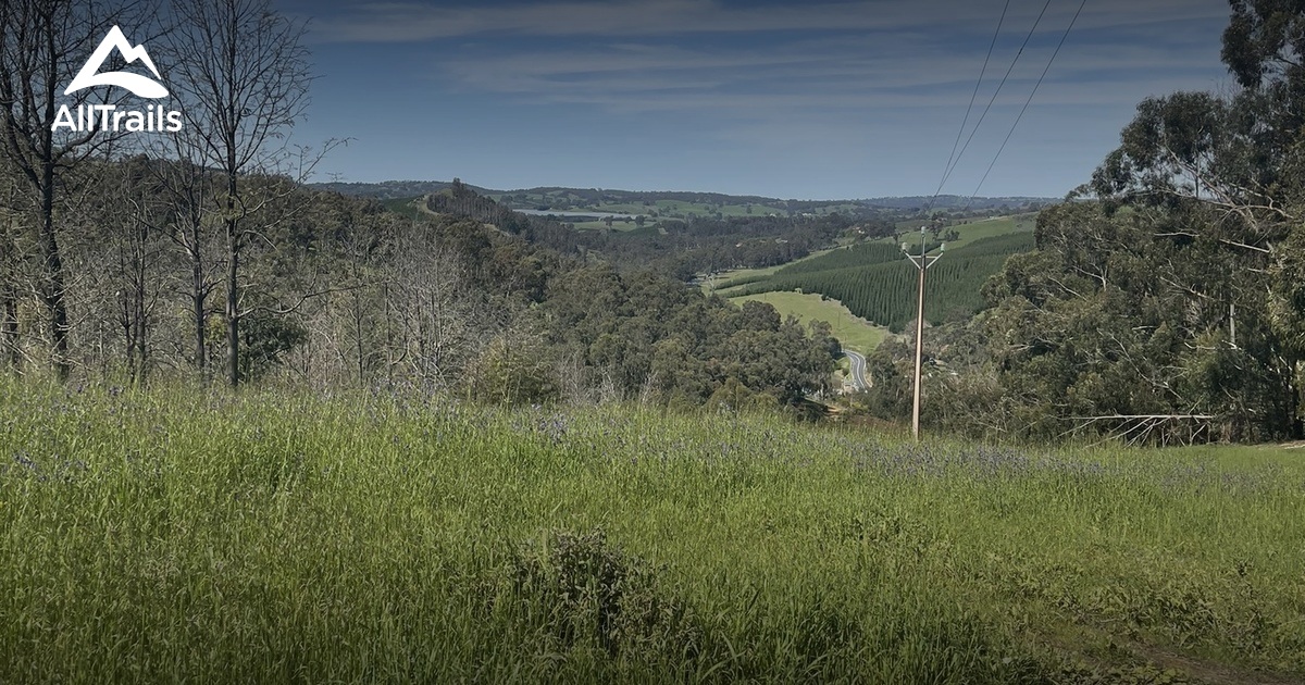 Best hikes and trails in Chain of Ponds | AllTrails
