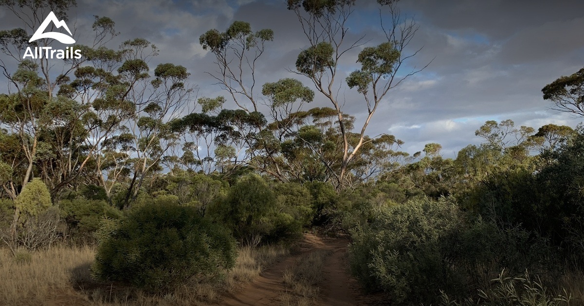 Best hikes and trails in Clements Gap | AllTrails