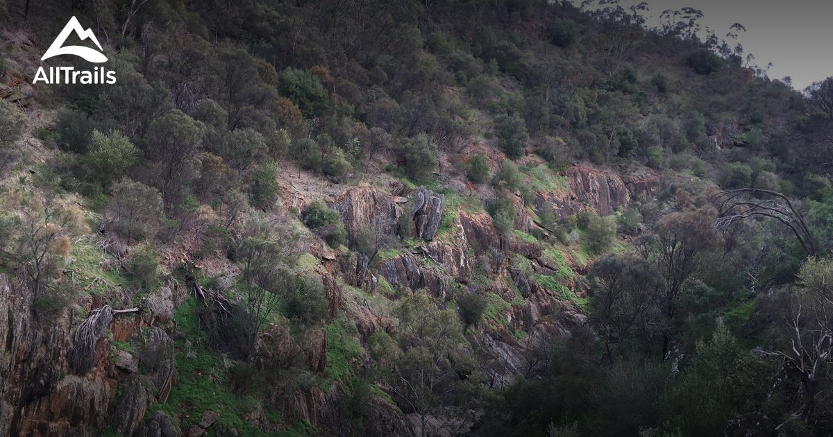 Best hikes and trails in Craigburn Farm | AllTrails