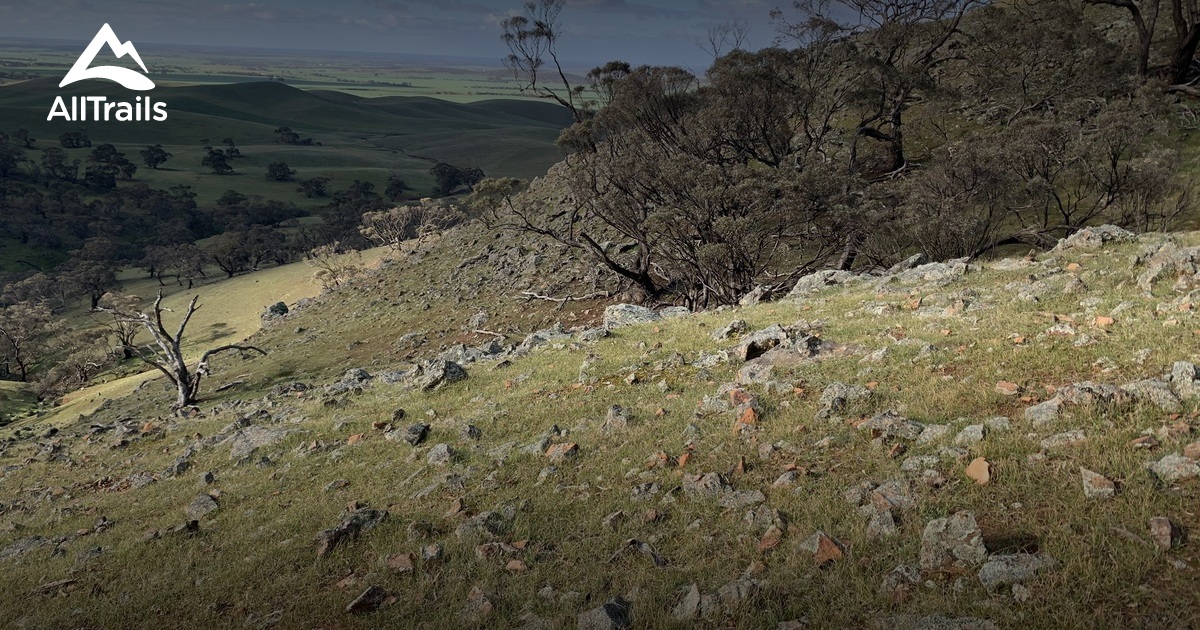 Najlepsze wycieczki i szlaki w: Dutton | AllTrails