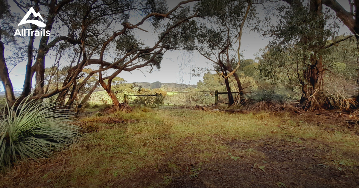 Best hikes and trails in Hope Forest | AllTrails