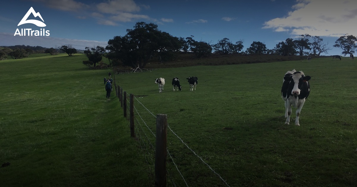 Best trails in Inman Valley, South Australia | AllTrails