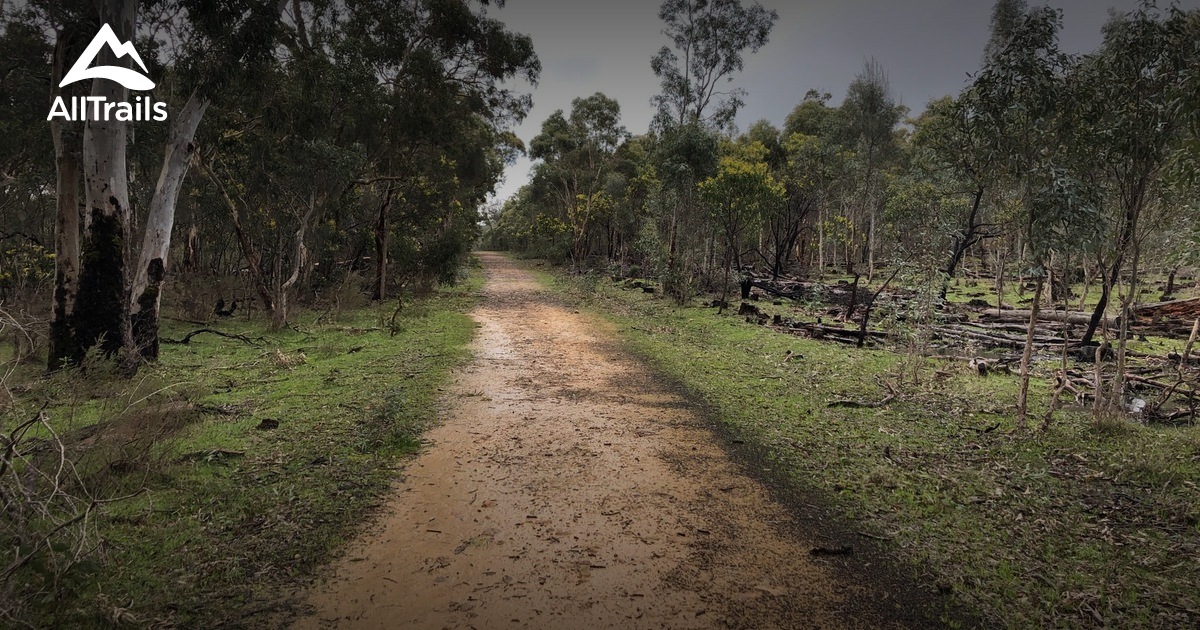 Best hikes and trails in Kangarilla | AllTrails