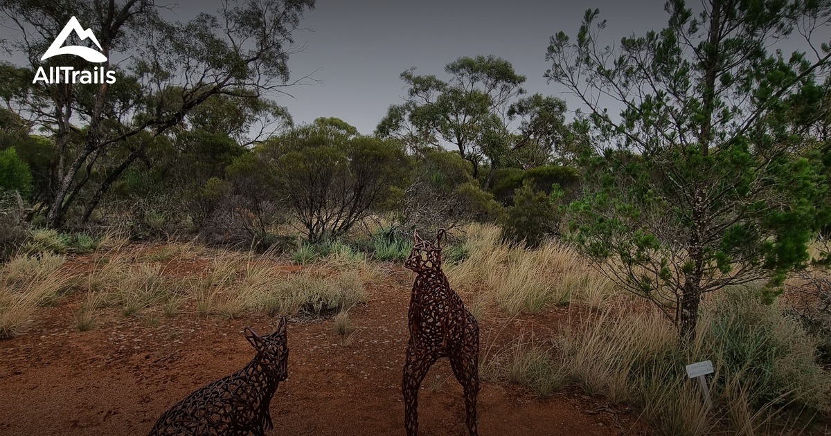 Best hikes and trails in Kimba | AllTrails