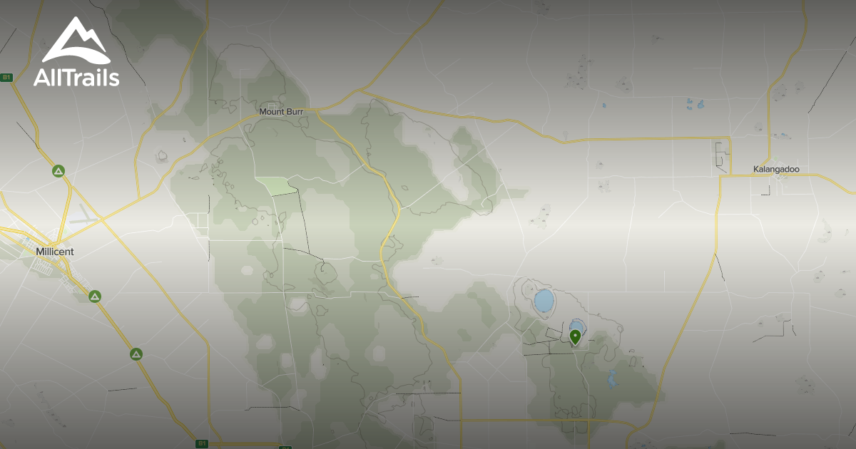 Best hikes and trails in Koorine | AllTrails