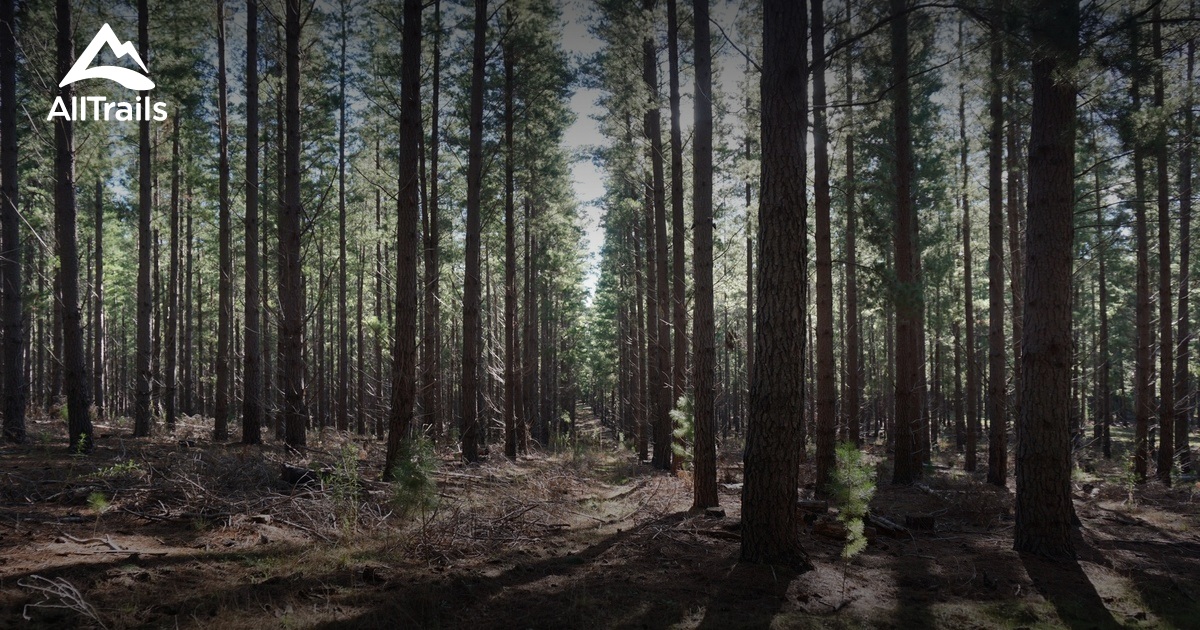 10 Best trails and hikes in Kuitpo | AllTrails