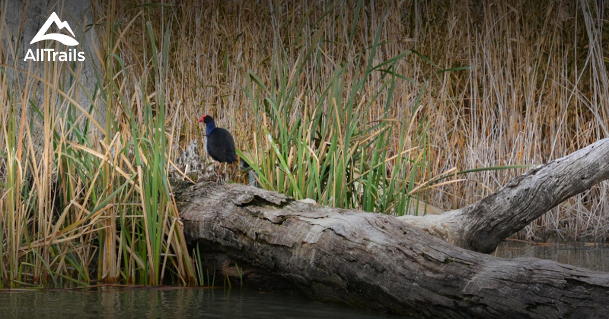 Best hikes and trails in Lake Carlet | AllTrails