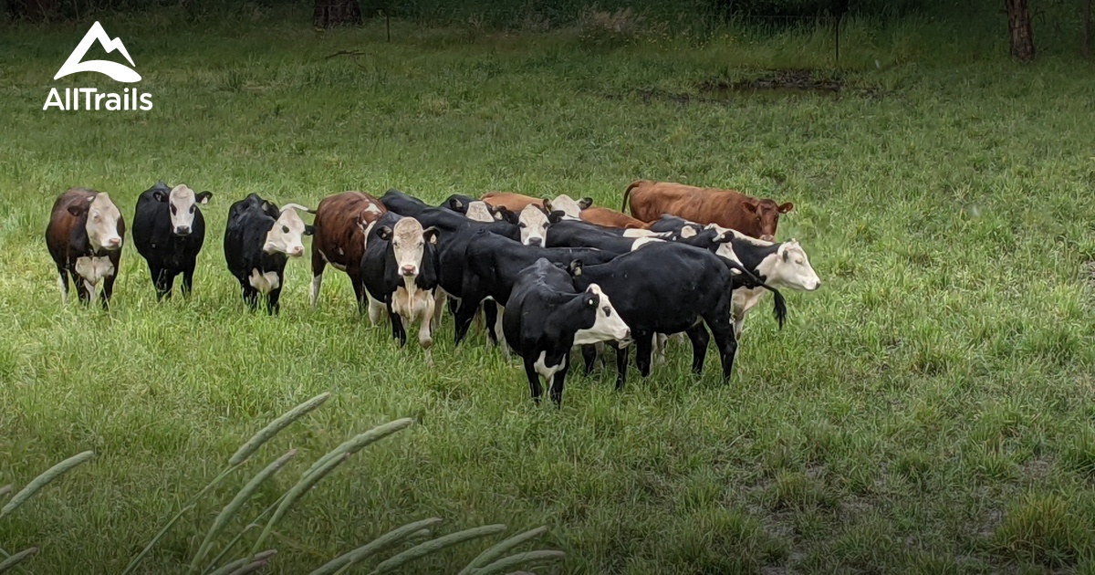 Best hikes and trails in Macclesfield | AllTrails