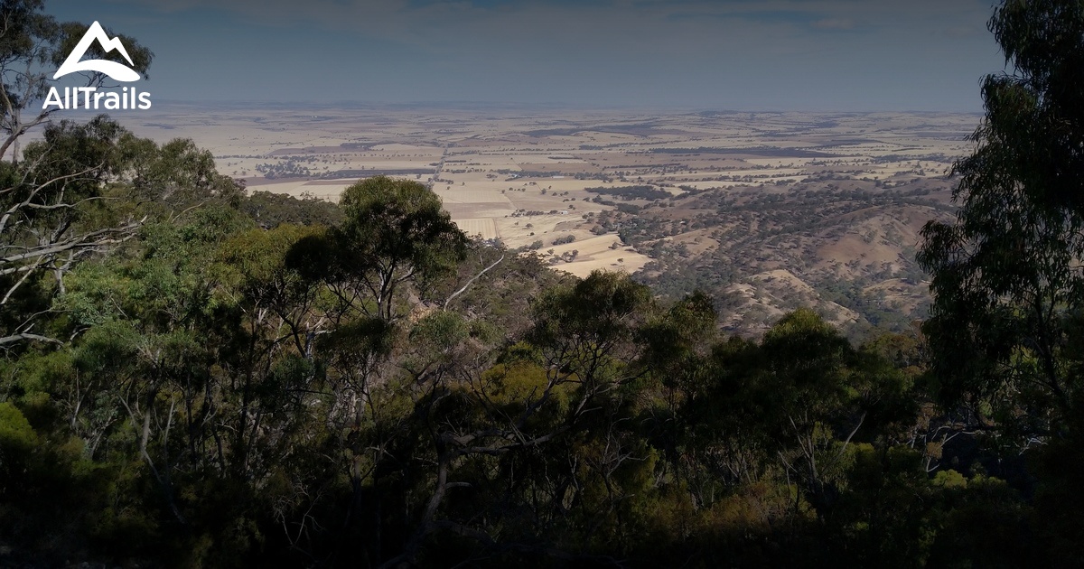 Best Trails near Melrose, South Australia Australia | AllTrails