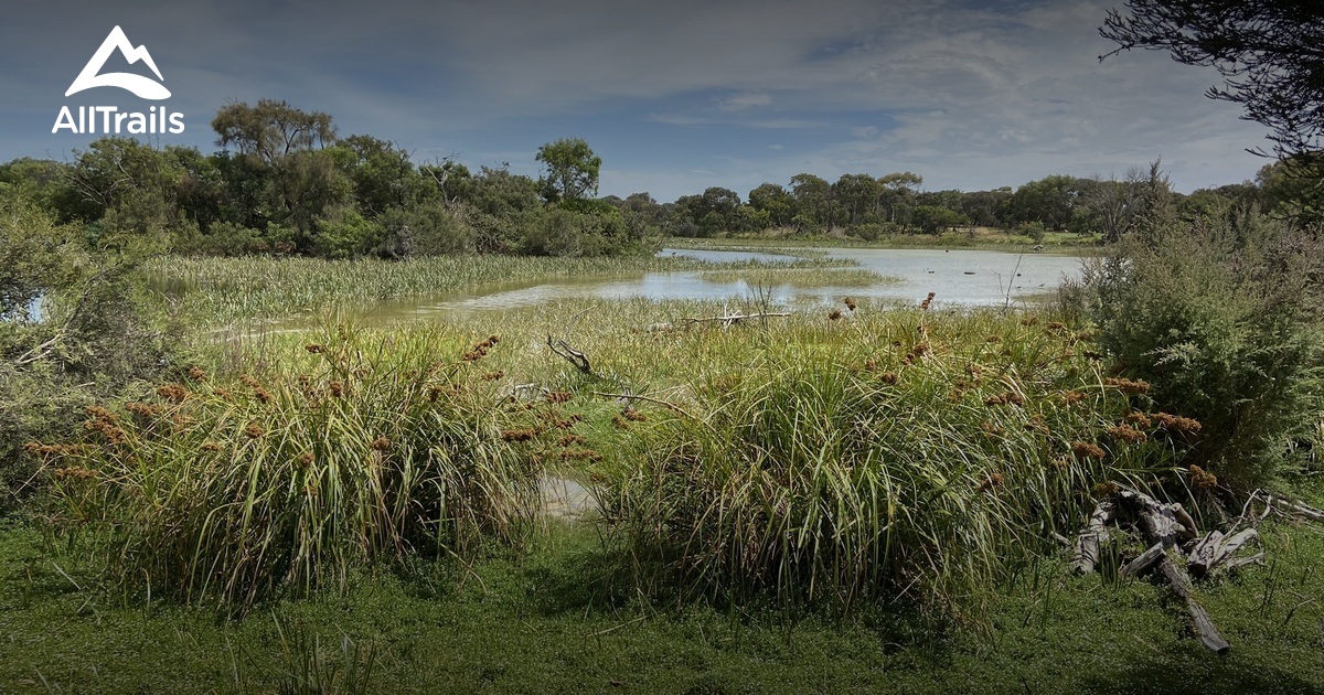 Best hikes and trails in Millicent | AllTrails